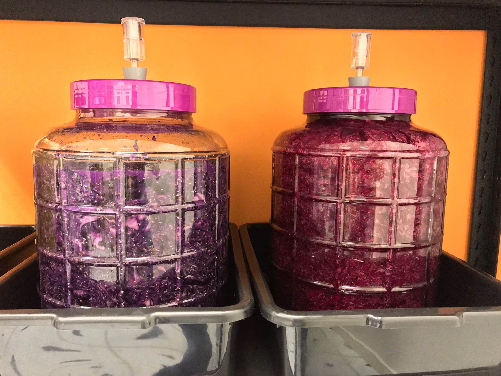 Fermented Foods Part 5a: A Fermented Foods Company Fighting Food Waste ...
