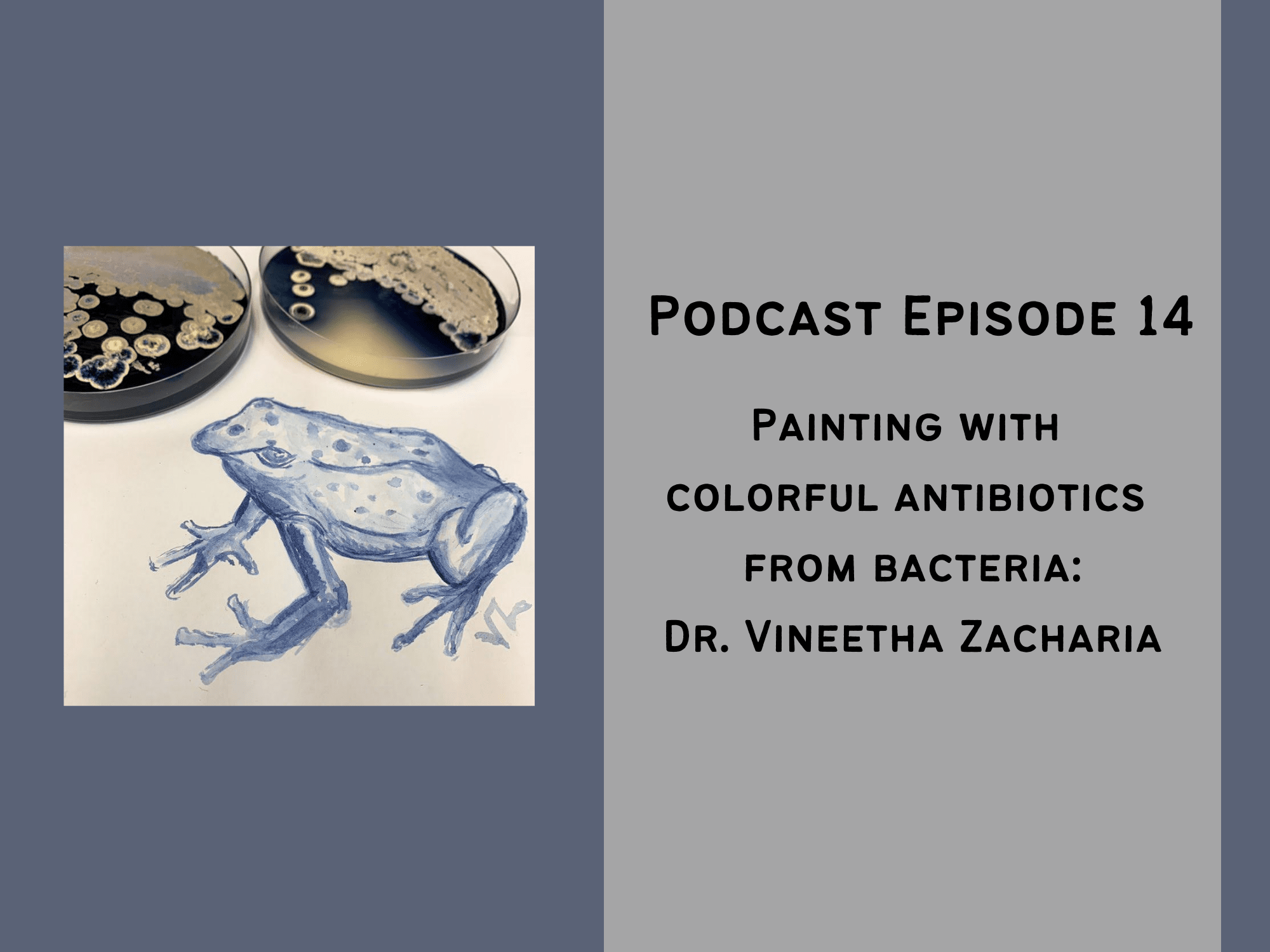 Painting with colorful antibiotics from bacteria: Dr. Vineetha Zacharia ...